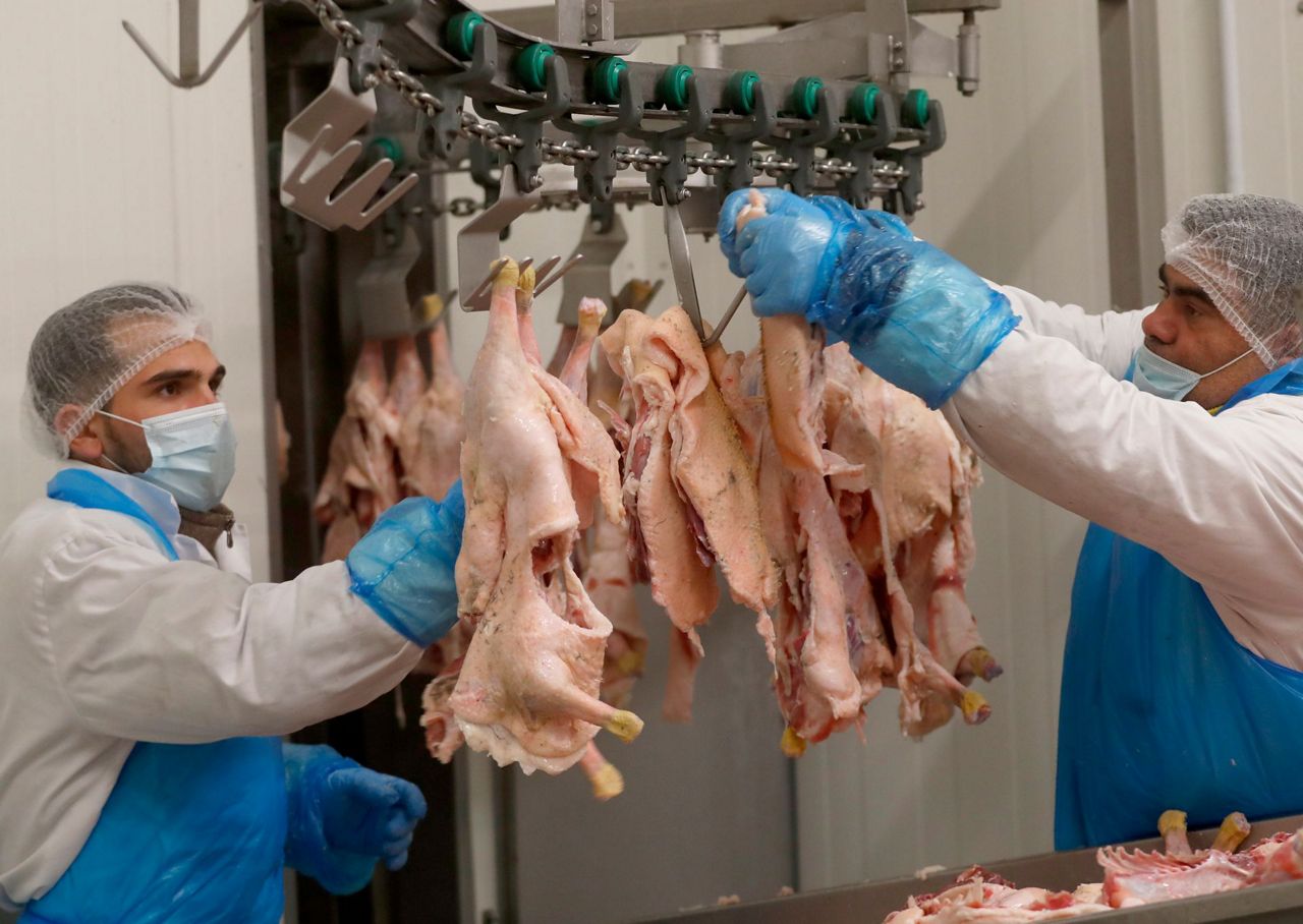 Ruling brings kosher slaughterhouse new business, old fears