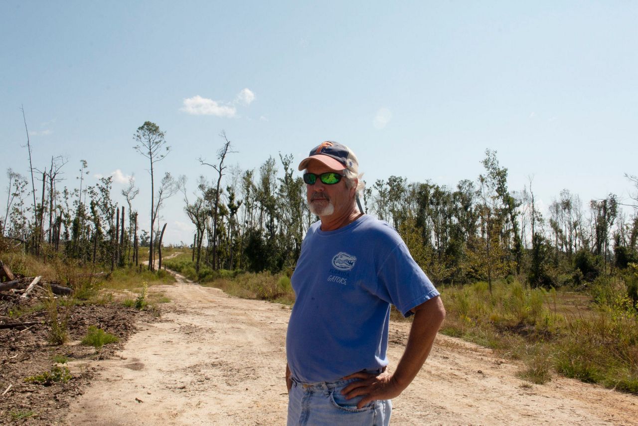 Florida timber farmers face tough choices year after Michael