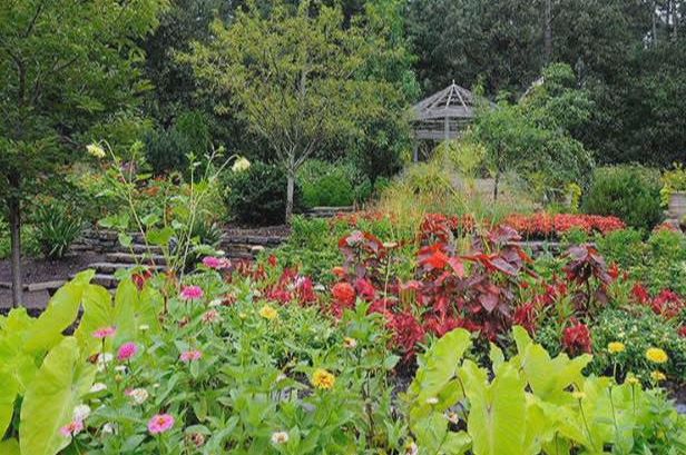 In Depth: Duke Gardens Spring Plant Sale