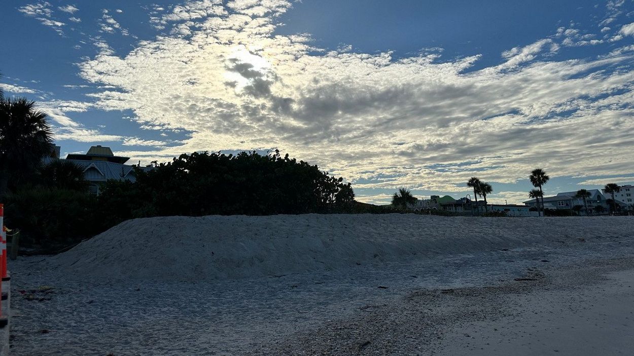 More than 70 sea turtle nests destroyed in Hurricane Idalia