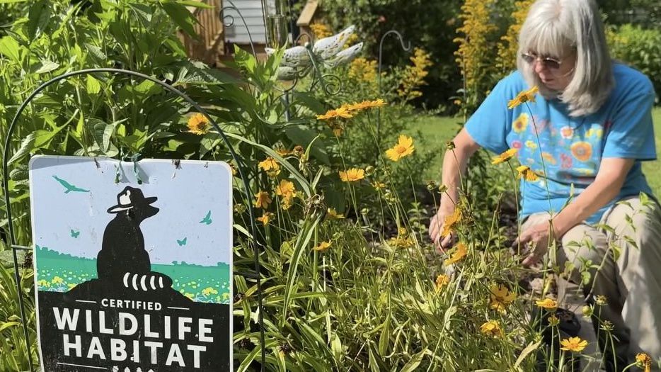 Charlotte gardens for wildlife as city grows