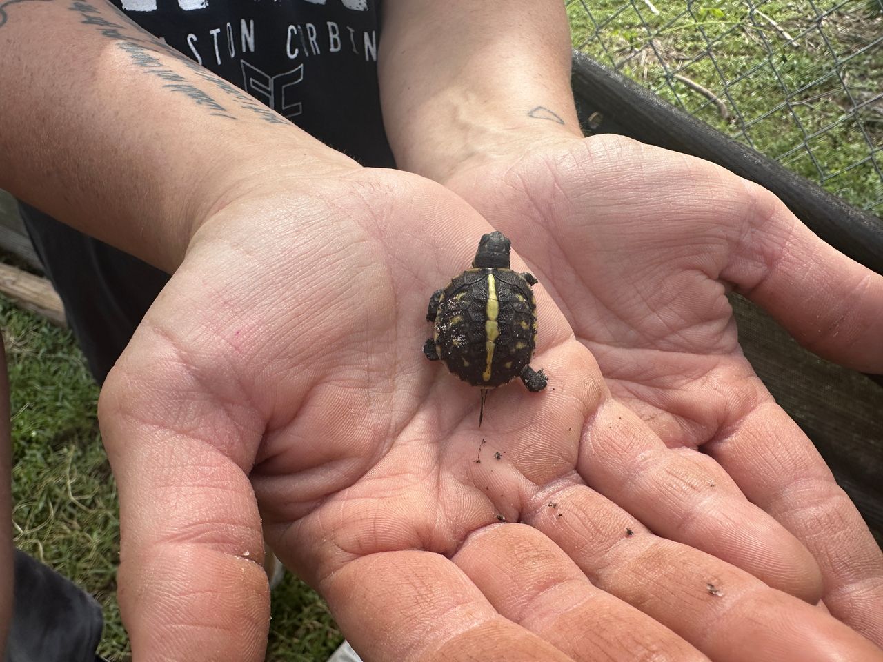 Hurricane Milton leaves several roads flooded in Deltona
