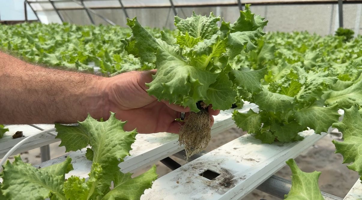 Volusia County launches inmate farming program
