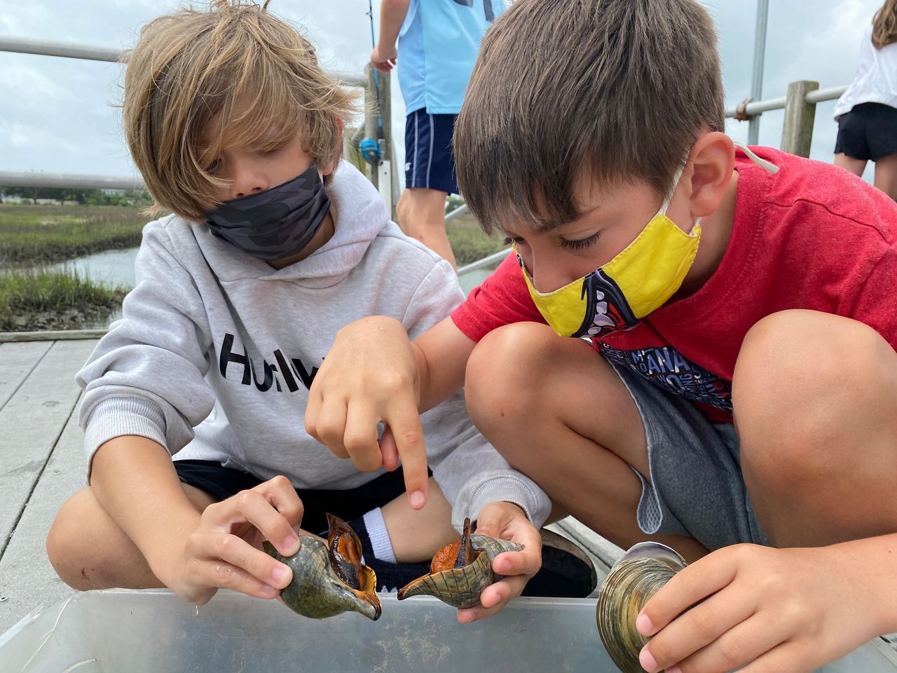 Elementary Marine Science Program