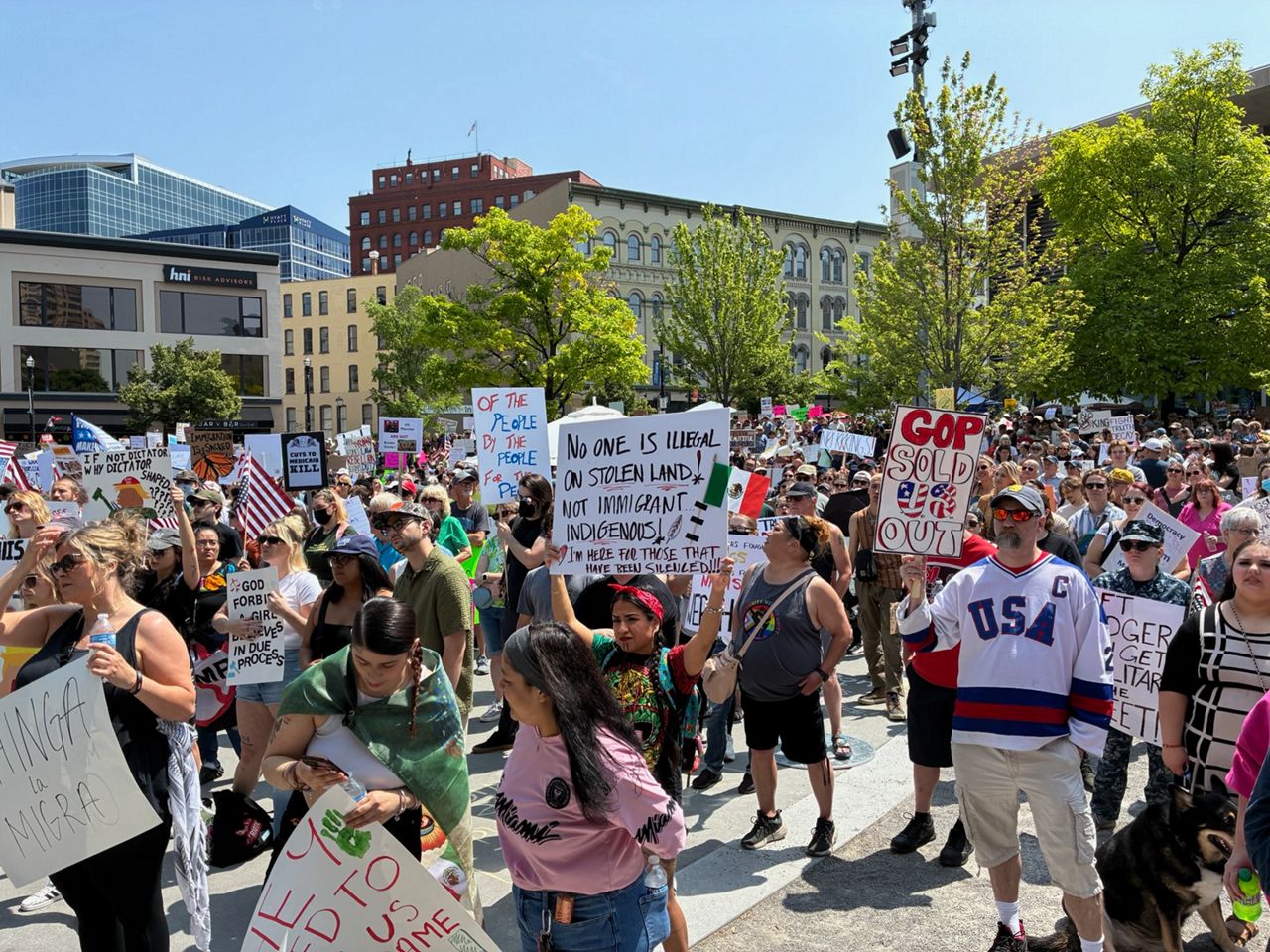 PHOTOS: 'No Kings' protests in Michigan