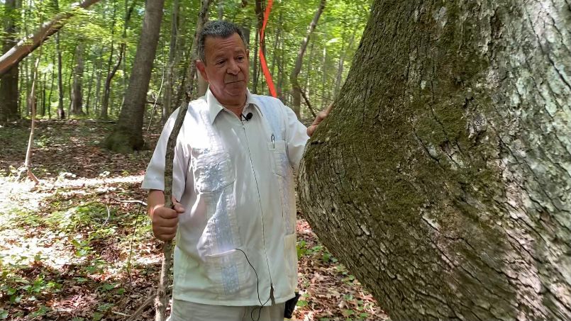 Tuscarora tribal history