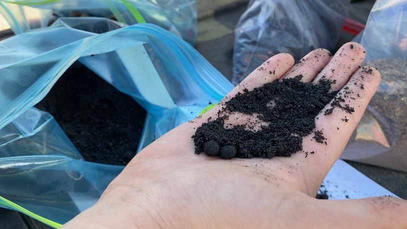 N.C. State researchers tap potential of hog waste lagoons