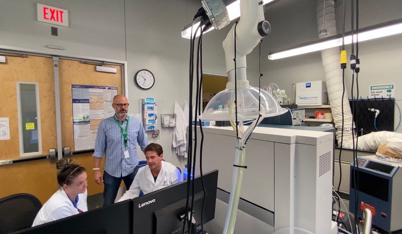 UNT Professor and Students Develop COVID-19 Breathalyzer