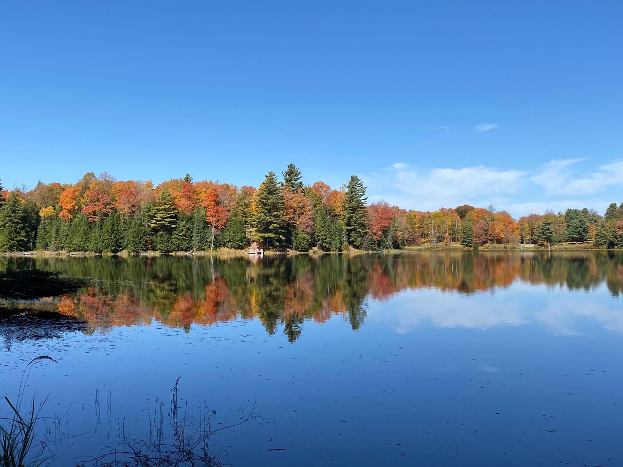 Fall color finds: Timms Hill takes beauty to new heights