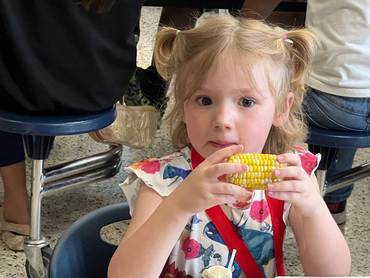 It's Farm to School month in Hillsborough County Schools
