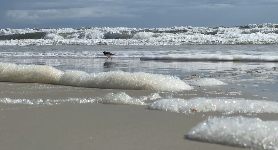 Volusia County officials watch water conditions from Imelda