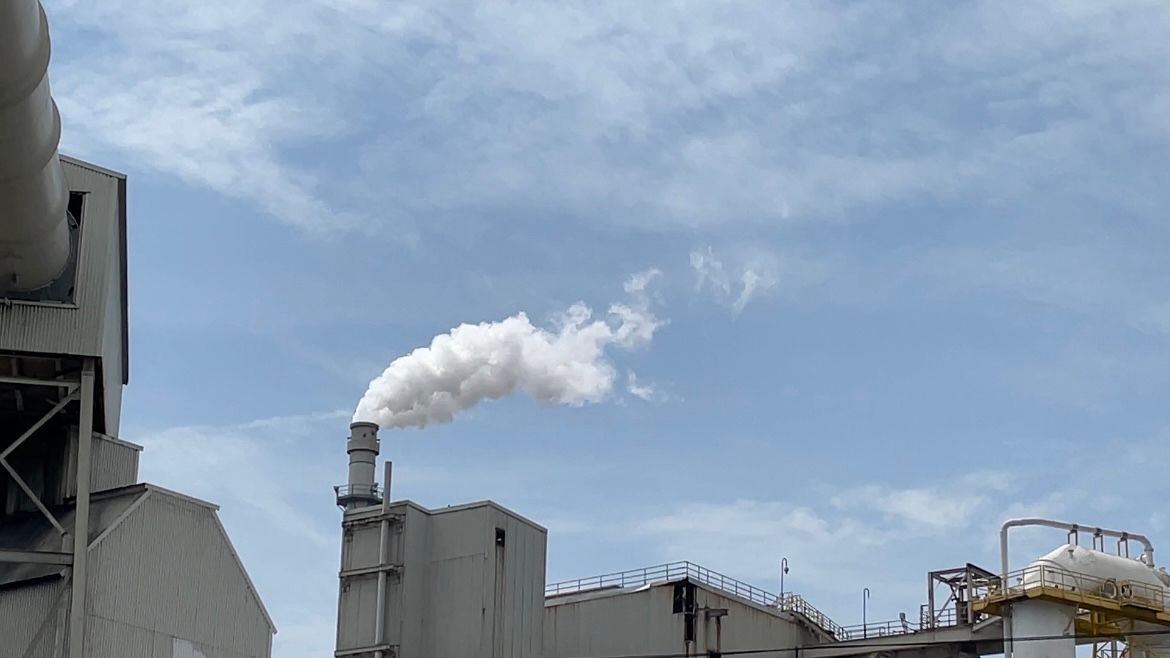 Pro-Palestinian rally in Bay Ridge draws thousands