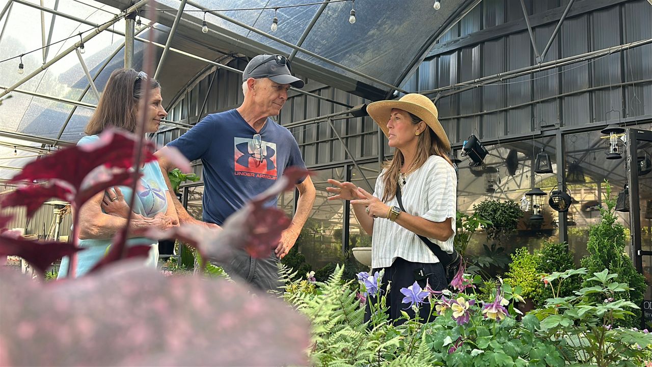 Plant nurseries built to handle droughts