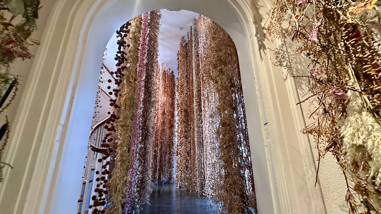 Alive or preserved, flowers reign at Selby Gardens