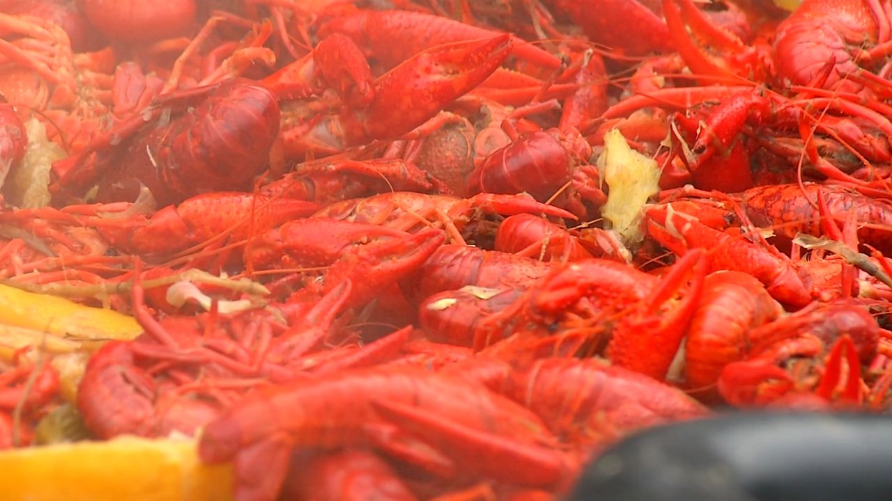 Syracuse Crawfish Festival is tomorrow