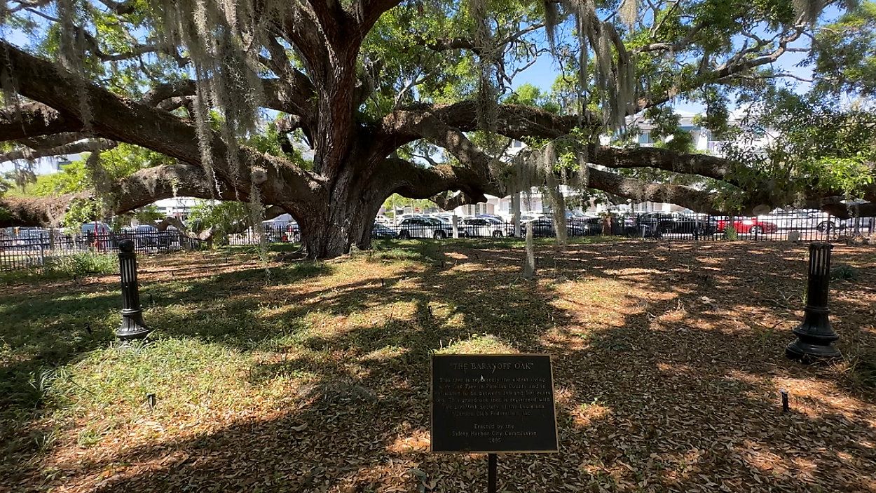 Morning Briefing: Tampa - March 15, 2024
