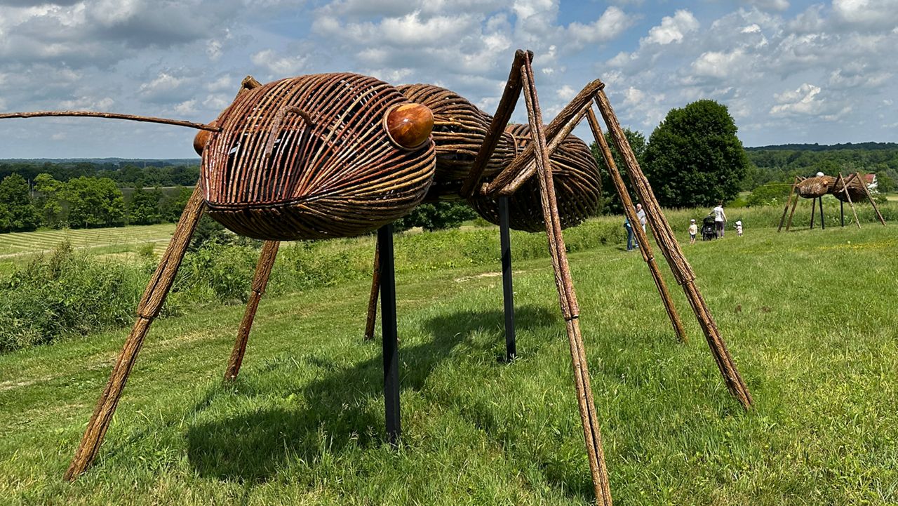 ‘Big Bugs’ Exhibit at Dawes Arboretum