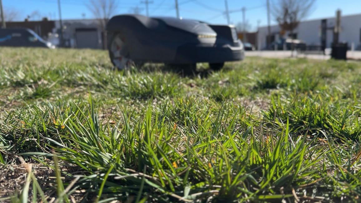 Robotic lawn mowers in the Triangle