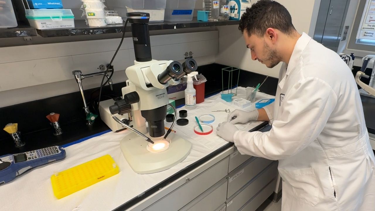 Upstate laboratory resumes tick testing with new model