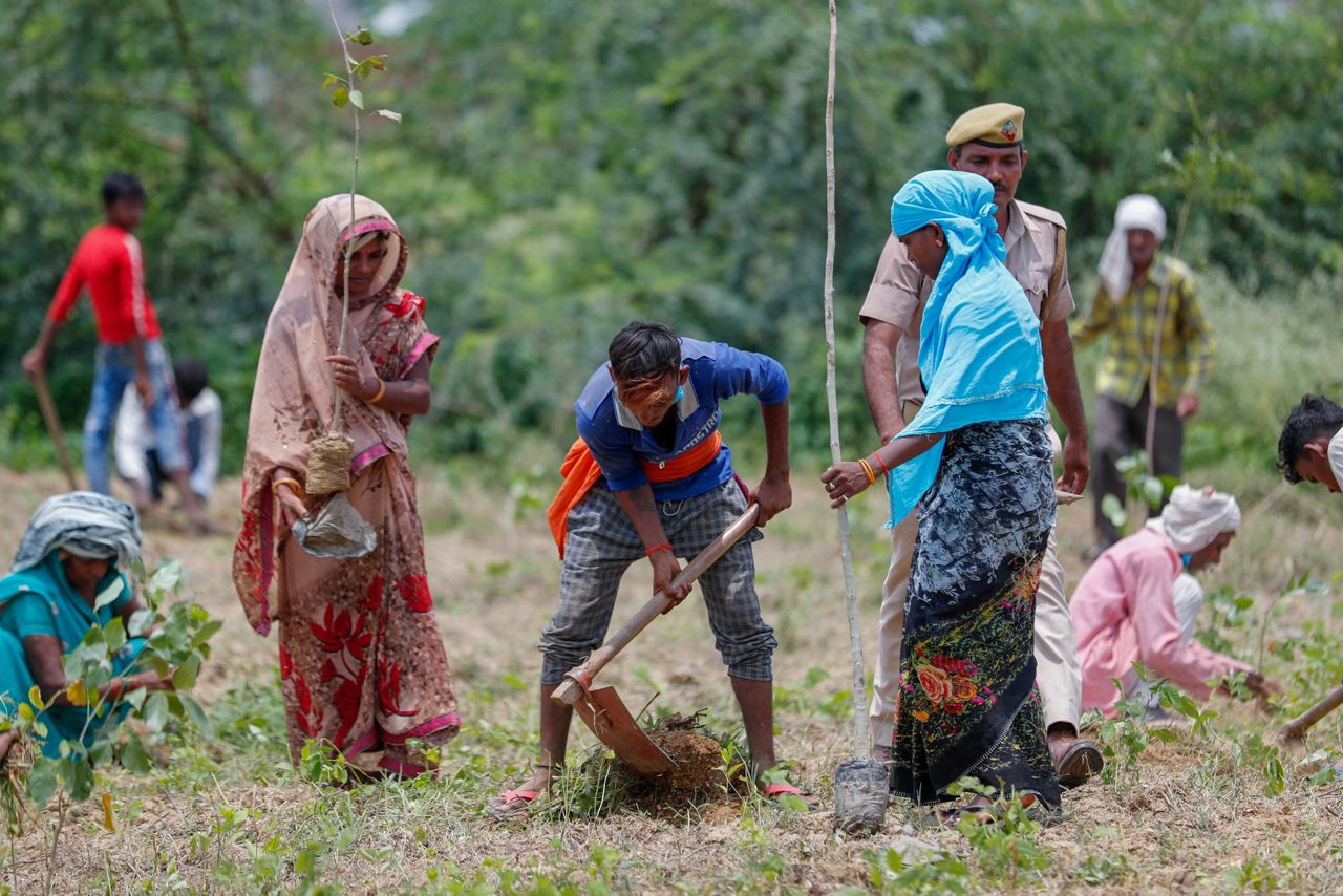 Indians plant millions of saplings amid mass campaign