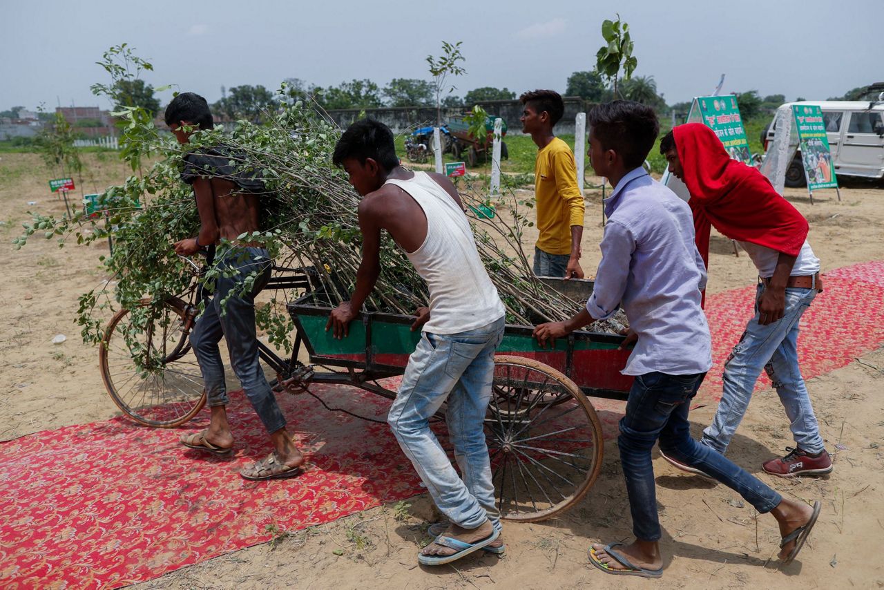 Indians plant millions of saplings amid mass campaign