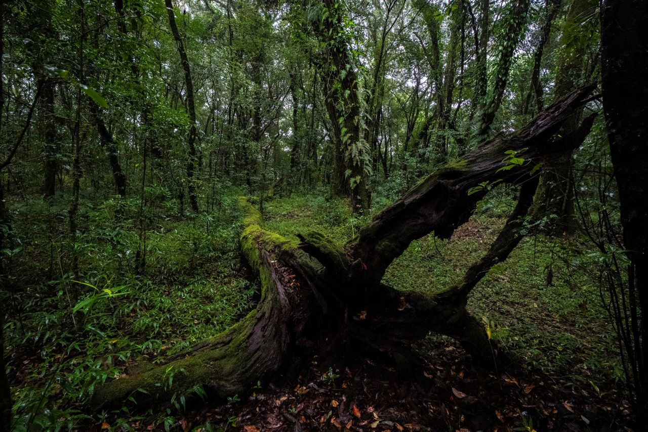 Indigenous faith, reverence for land lead effort to conserve sacred ...