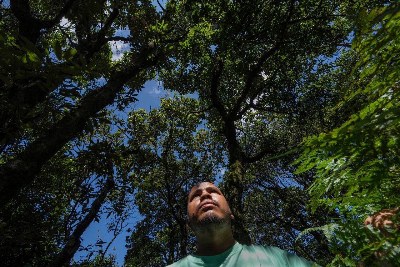 Indigenous faith, reverence for land lead effort to conserve sacred ...