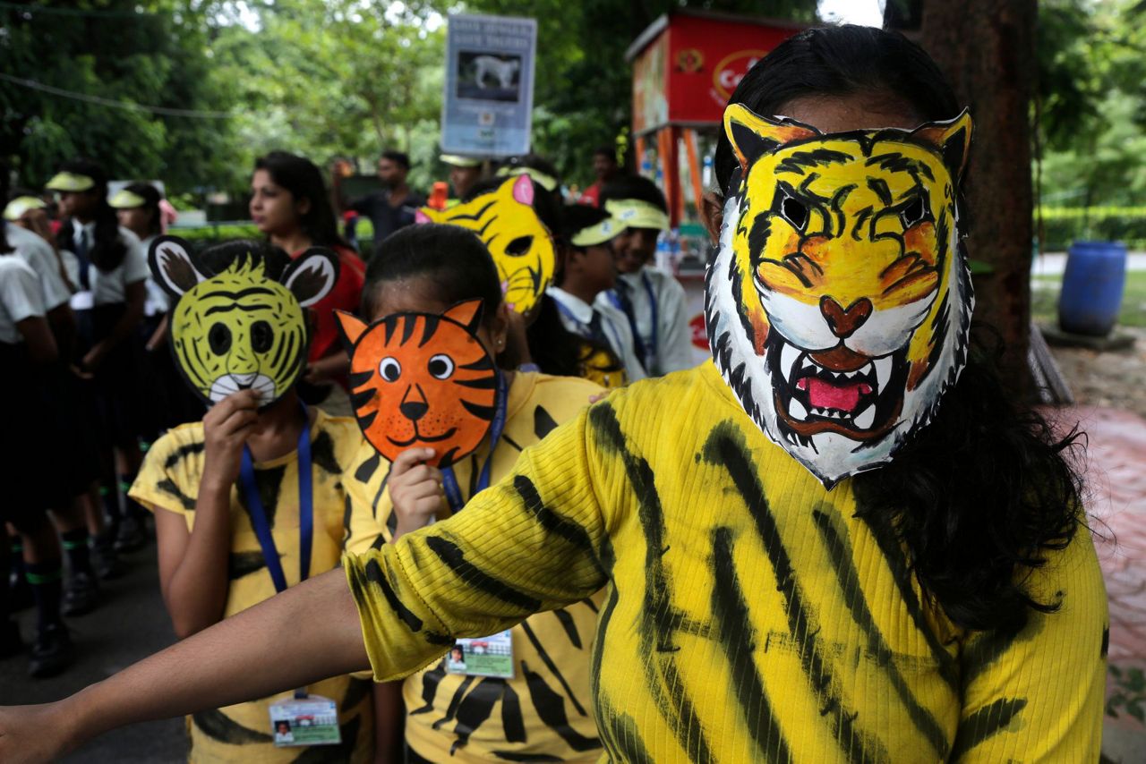 India's tiger population rises to nearly 3,000 animals