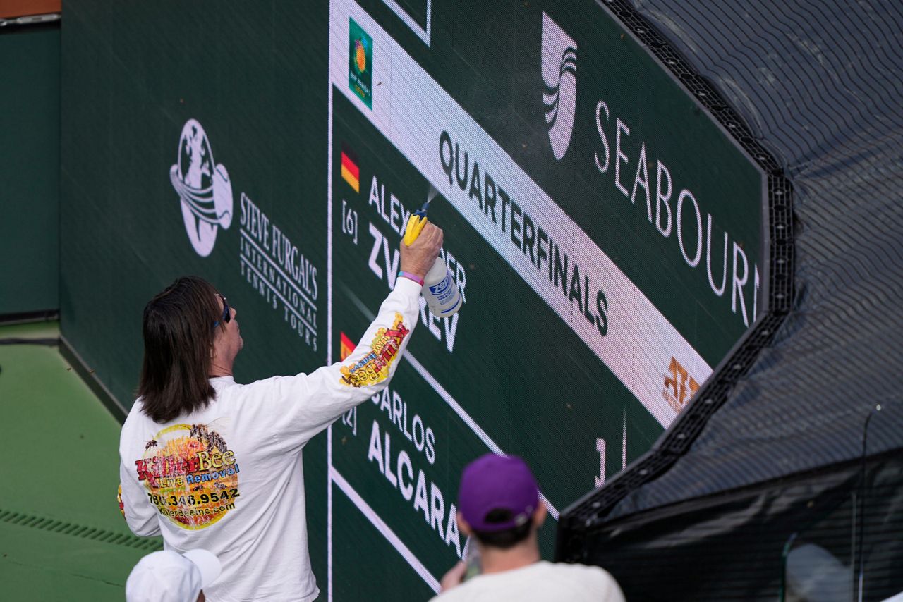 Bees cause a buzz and lengthy disruption at Indian Wells tennis
