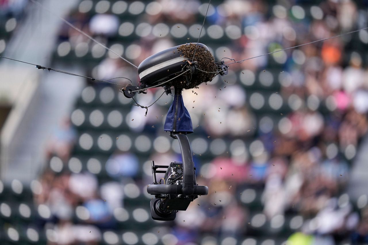 Bees cause a buzz and lengthy disruption at Indian Wells tennis