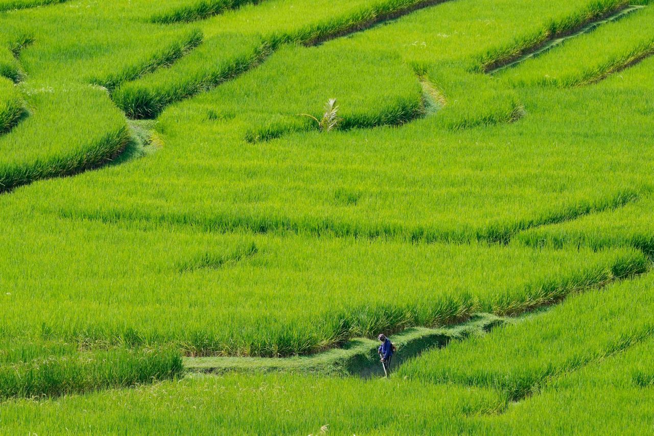 Bali's water crisis threatens local culture, UNESCO sites