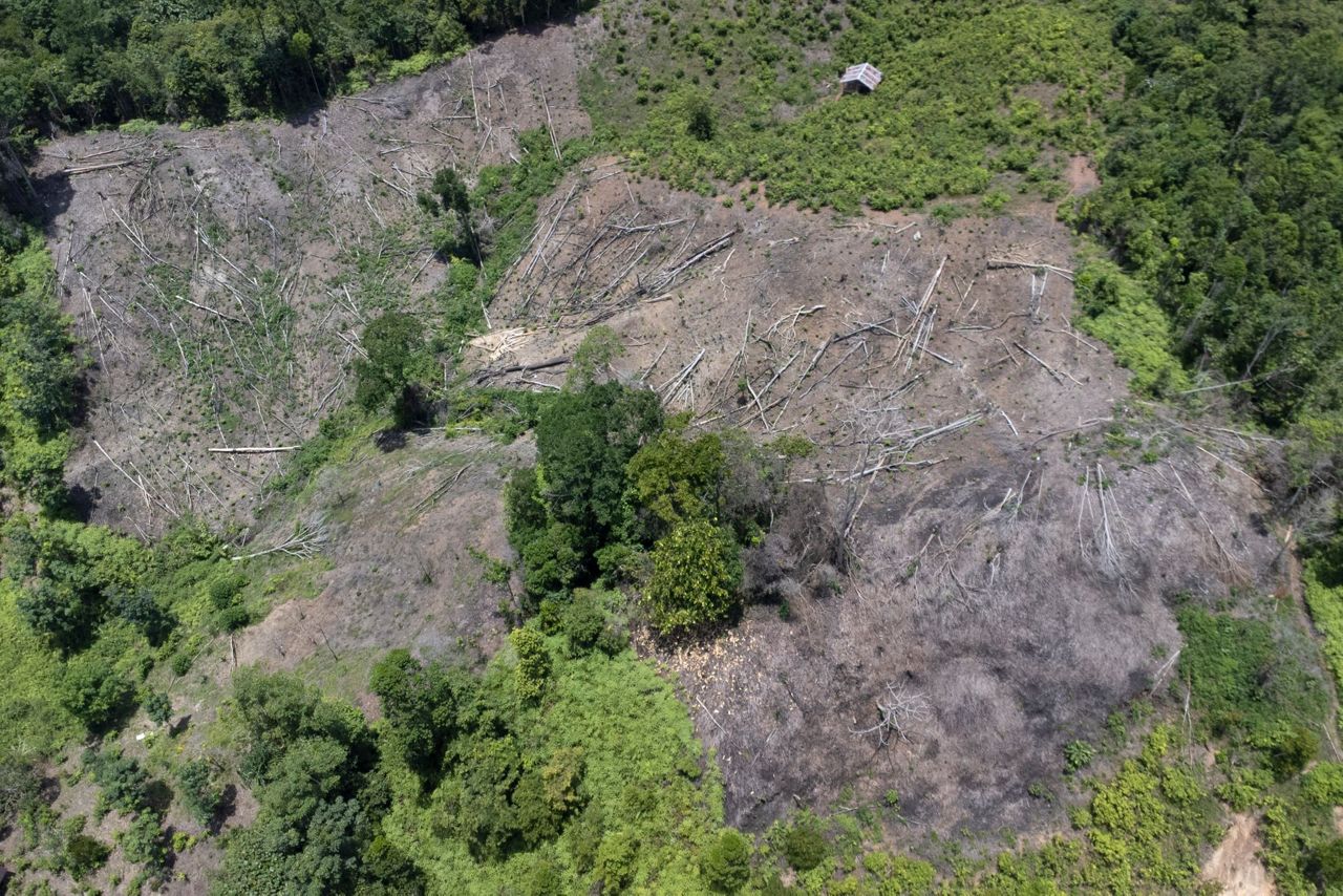 In Indonesia, deforestation is intensifying disasters from severe ...