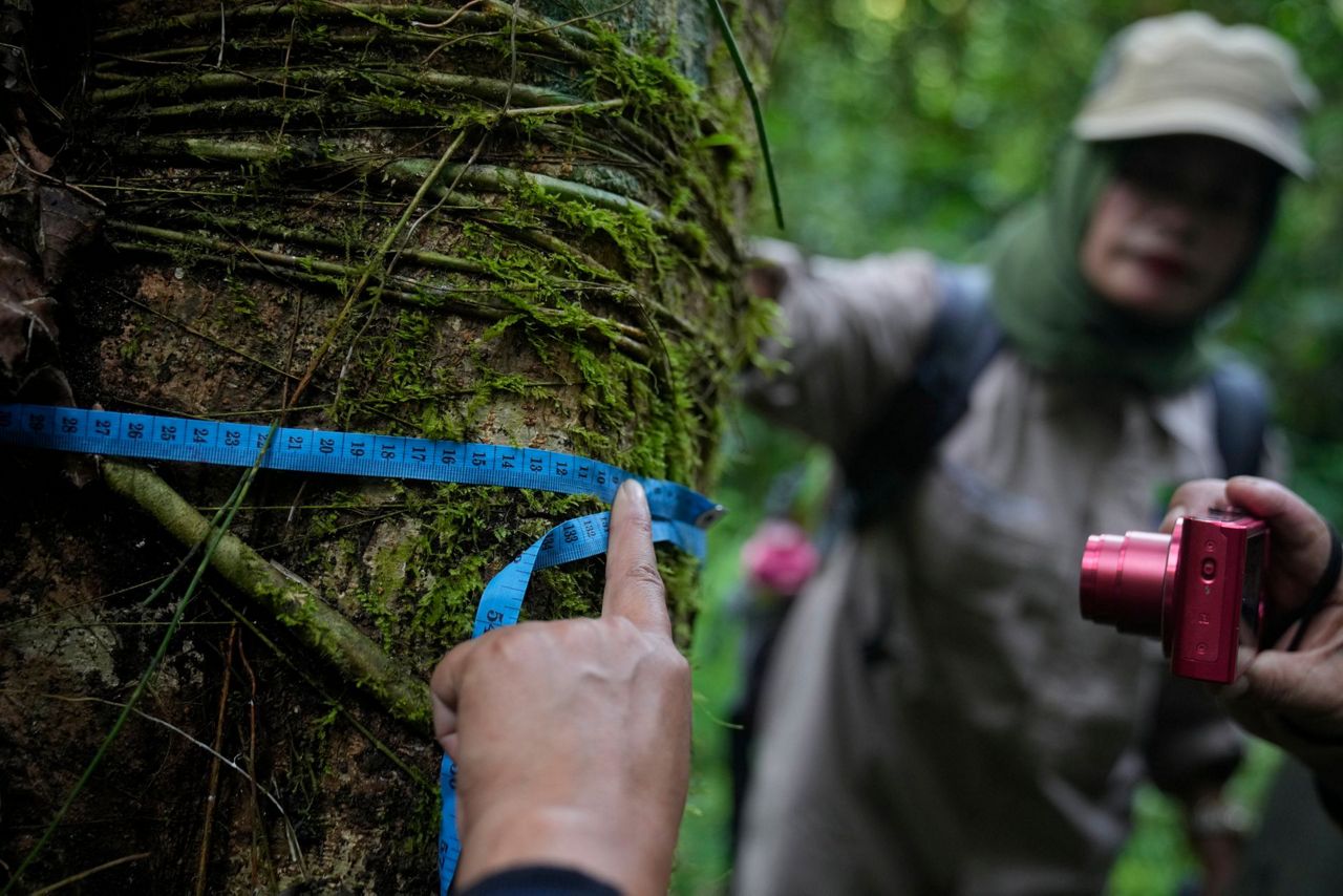 In Indonesia, women ranger teams go on patrol to slow deforestation