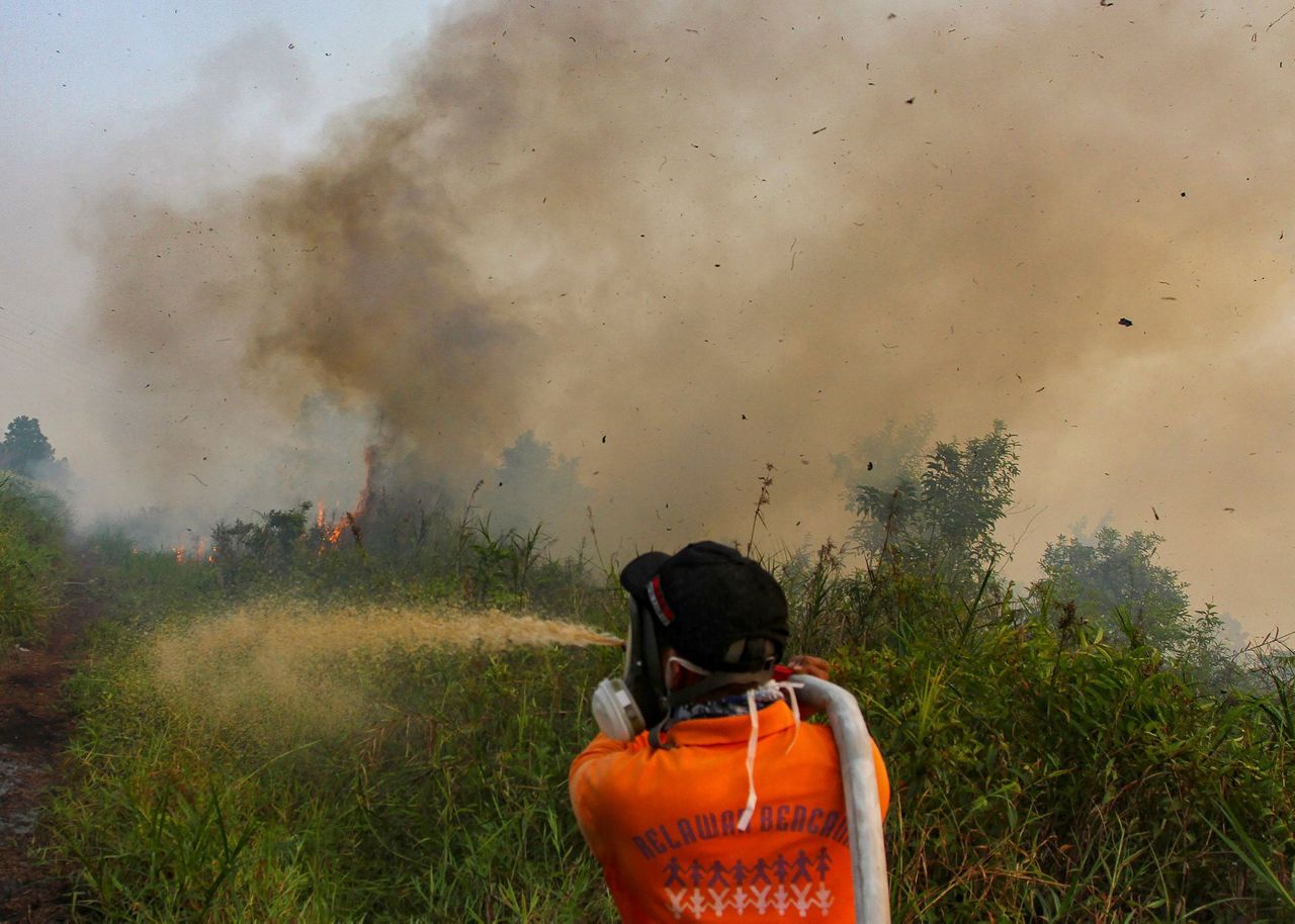 Indonesian province shuts schools due to forest fire haze
