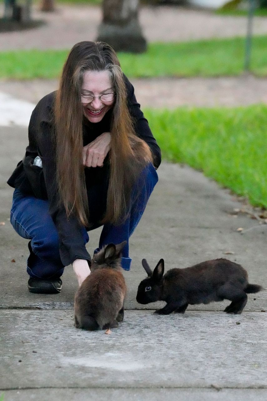Fuzzy invasion of domestic rabbits has a Florida suburb hopping into a ...