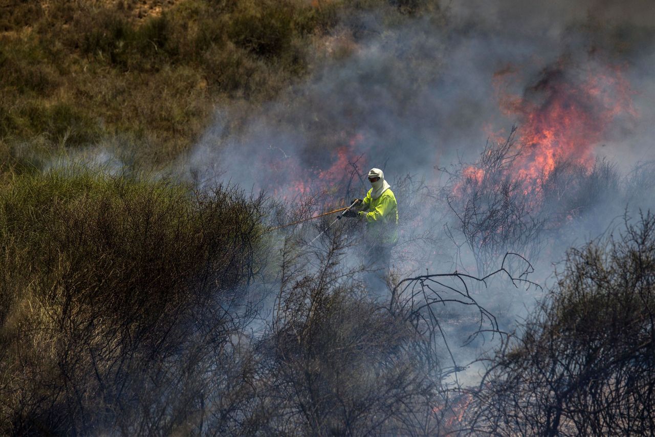 Burning kites from Gaza damage Israeli farms, wildlife