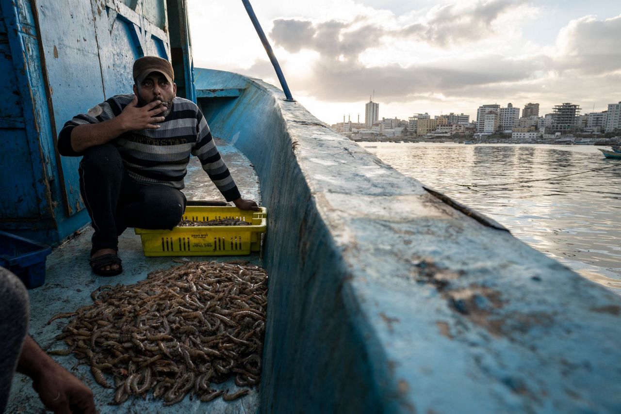 Gaza fishermen take to water again after cease-fire