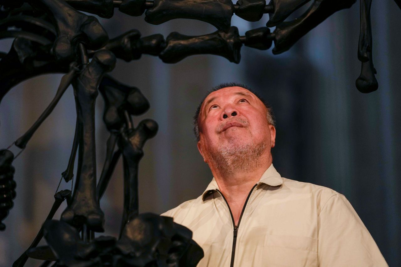 Artist Ai Weiwei warns against hubris in 'troublesome times'