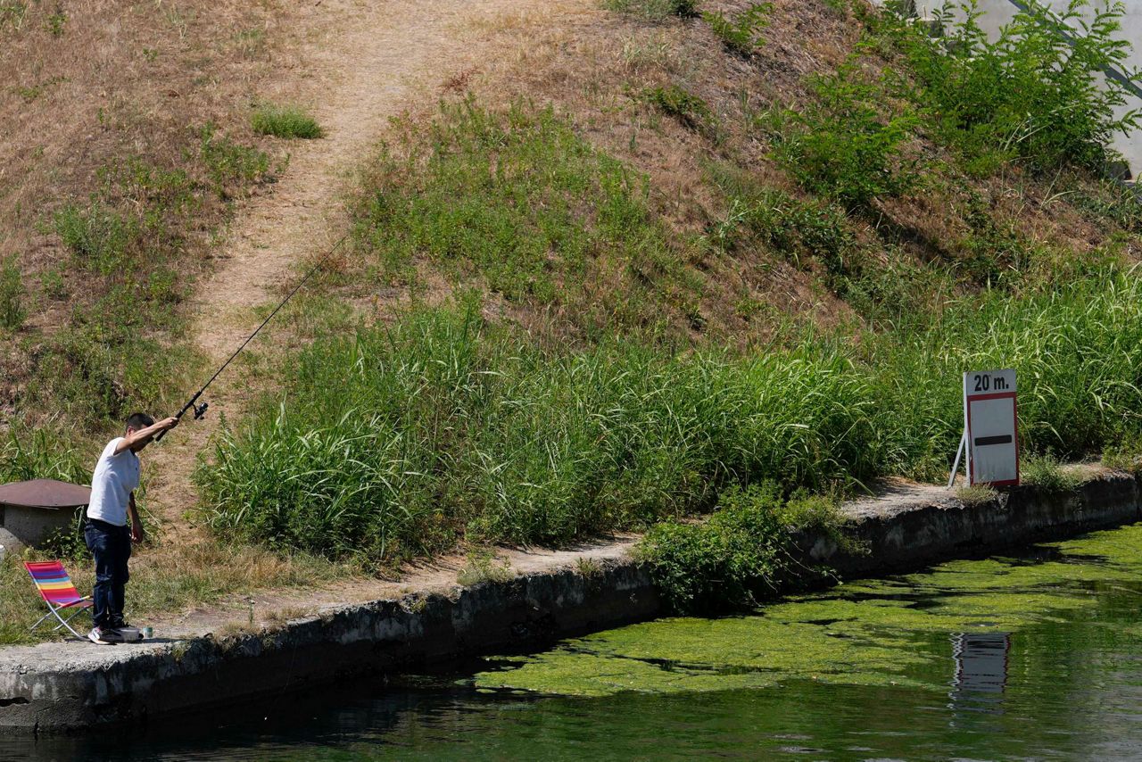 Drought: Italy warns a third of farm production at risk