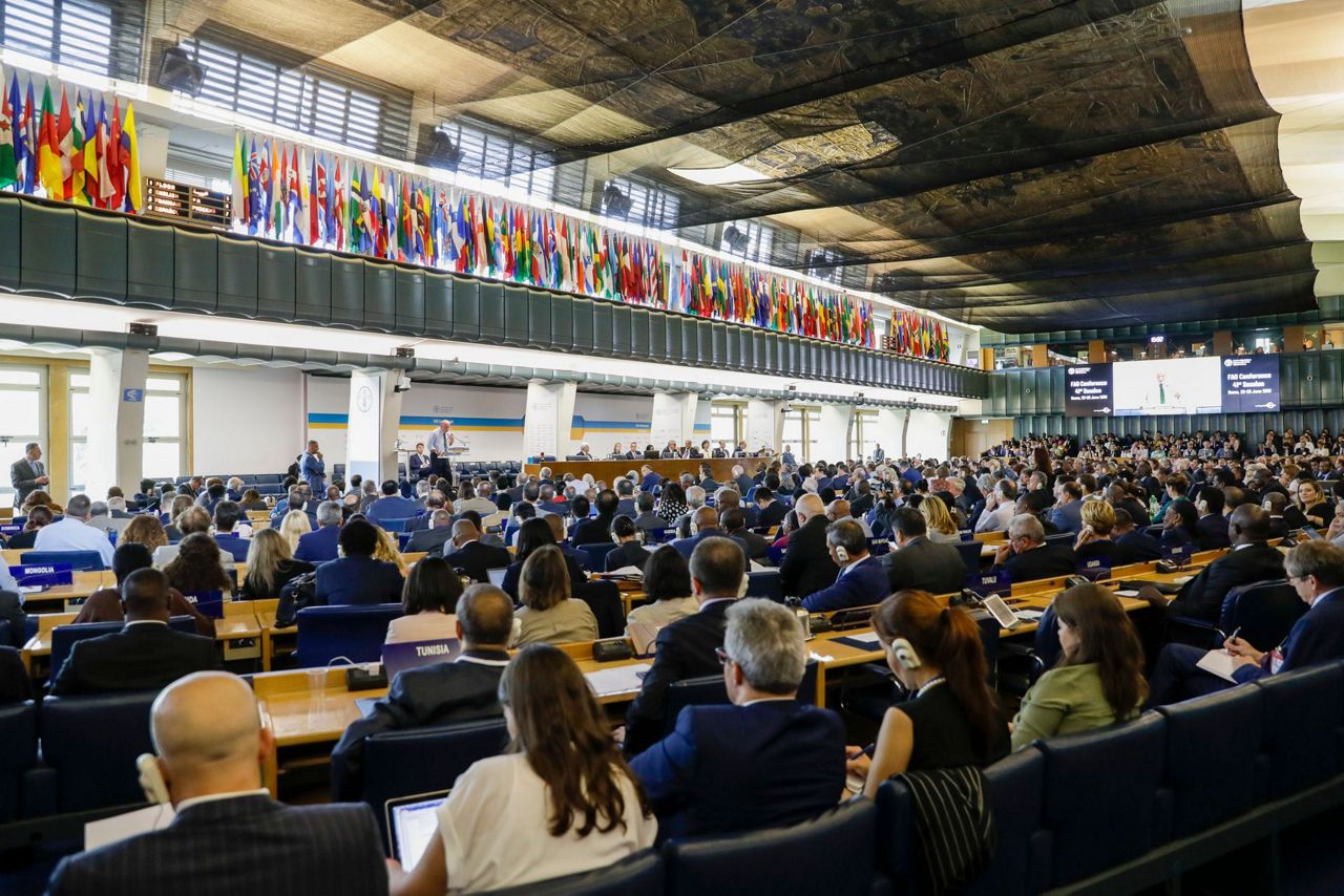 China's Qu Dongyu elected as new FAO general director