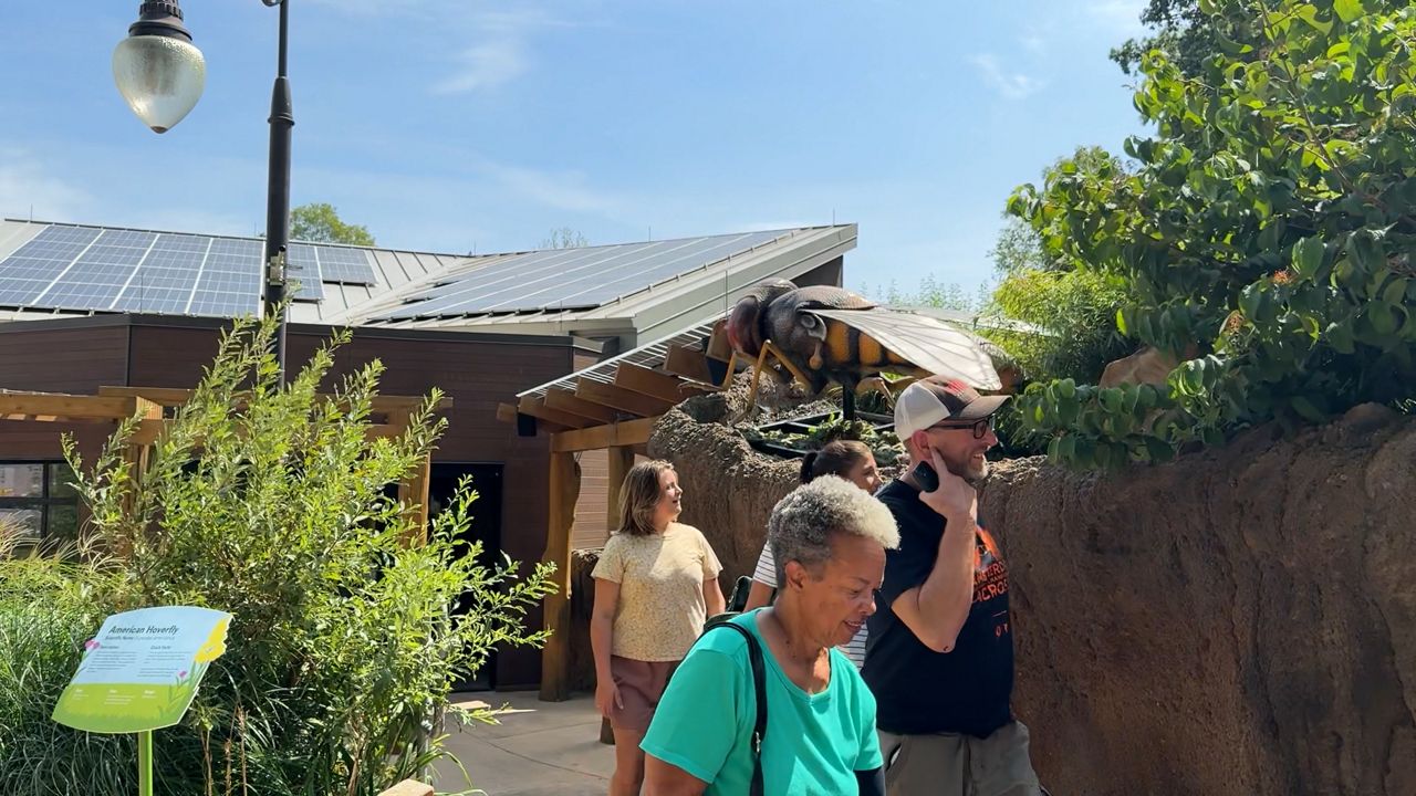 Power of Pollinators exhibit at John Ball Zoo