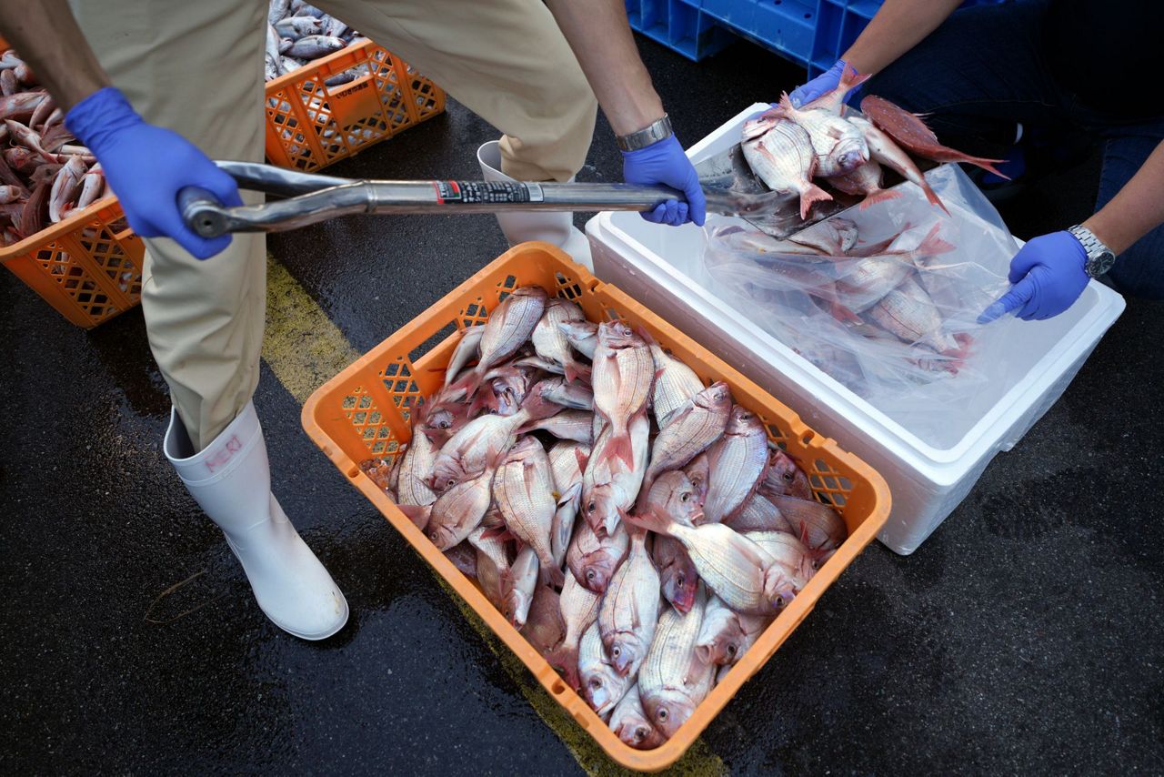 IAEA team gathers marine samples near Fukushima as treated radioactive ...