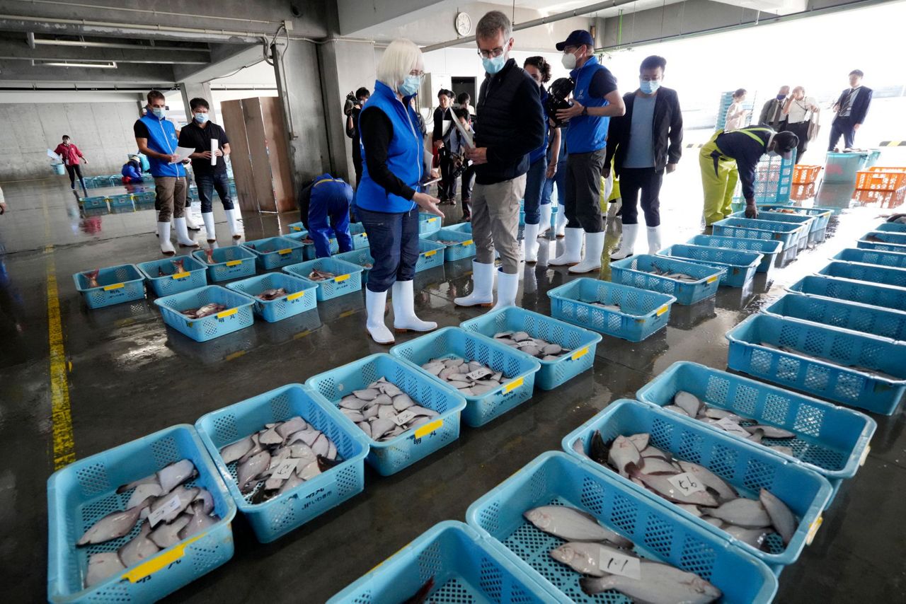 IAEA team gathers marine samples near Fukushima as treated radioactive ...