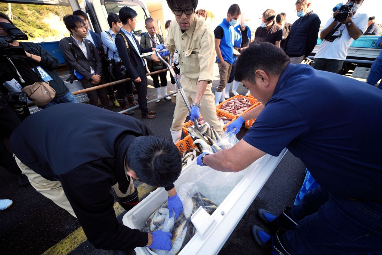 IAEA team gathers marine samples near Fukushima as treated radioactive ...