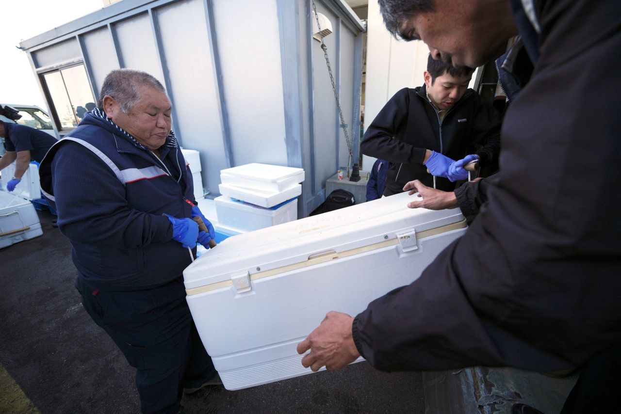 IAEA team gathers marine samples near Fukushima as treated radioactive ...