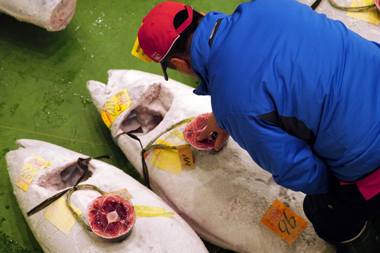 Bluefin sold for $3 million in 1st 2019 sale at Tokyo market