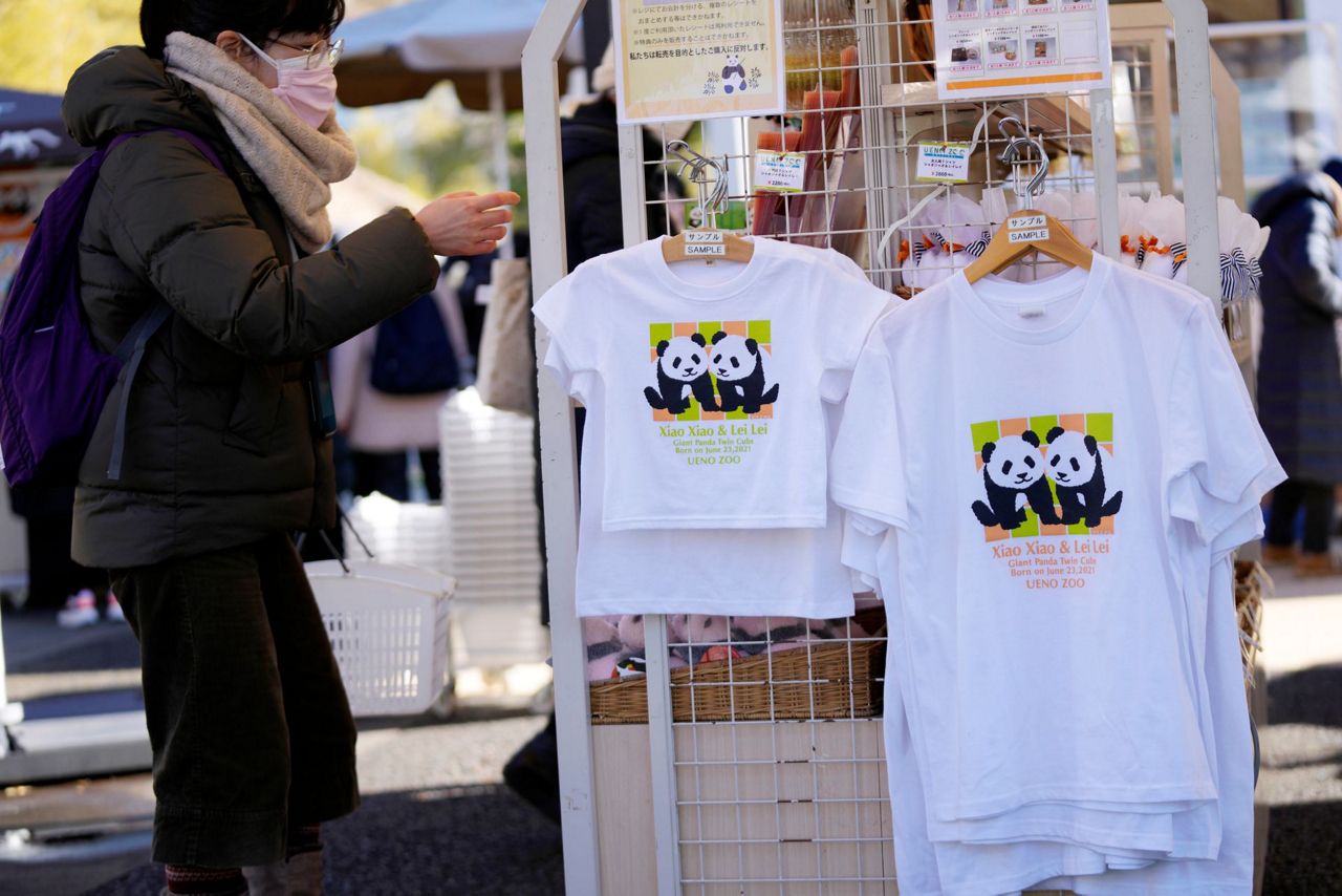 Twin panda cubs debut at Tokyo zoo, woo devoted fans