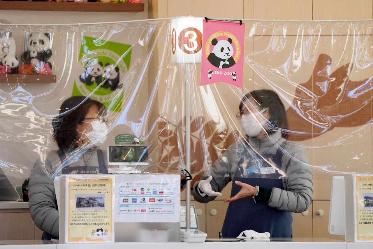 Twin panda cubs debut at Tokyo zoo, woo devoted fans