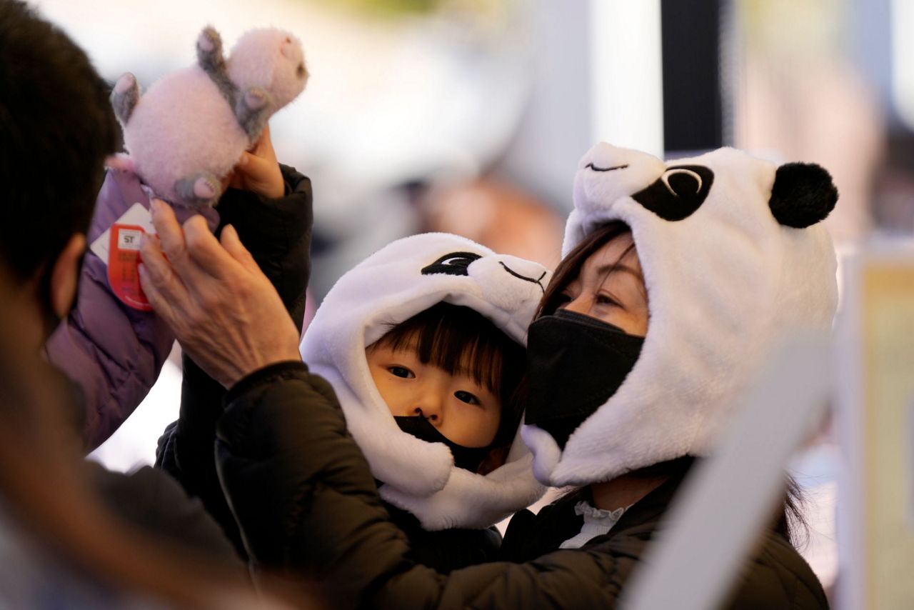 Twin panda cubs debut at Tokyo zoo, woo devoted fans