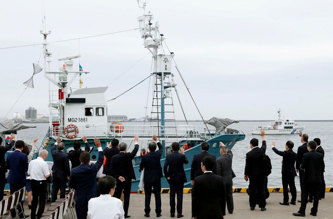 Japan resumes commercial whaling, seen as face-saving end